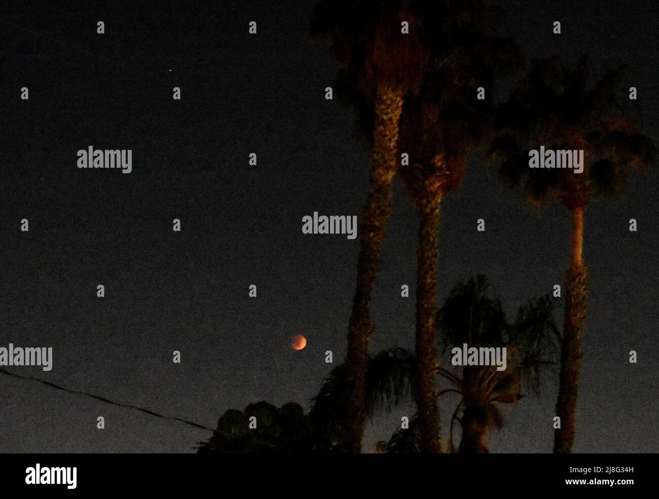 Los Angeles, California, USA 15th May 2022 Blood Red Flower Moon ...