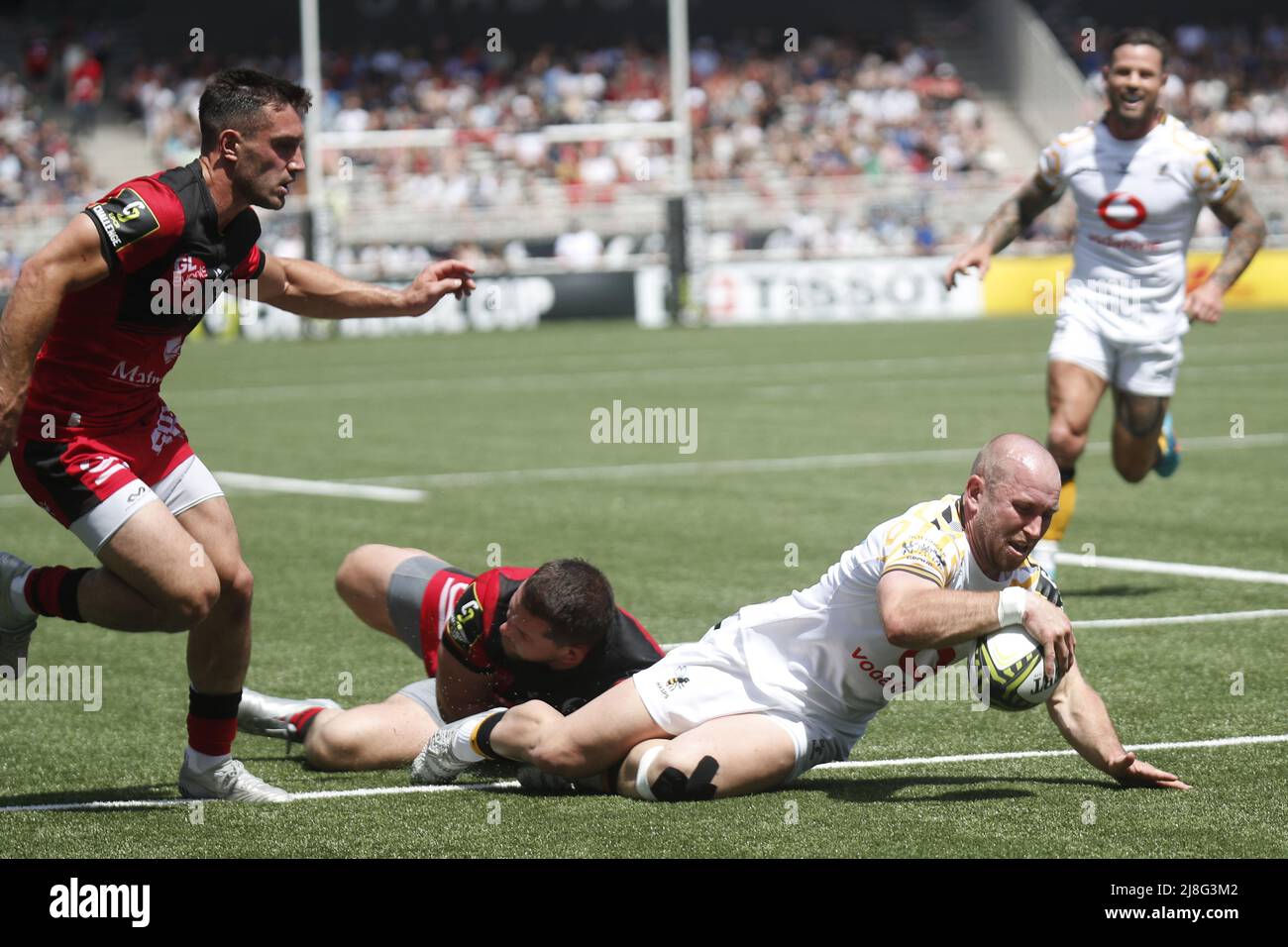 Dan robson wasps 2022 hi-res stock photography and images - Alamy