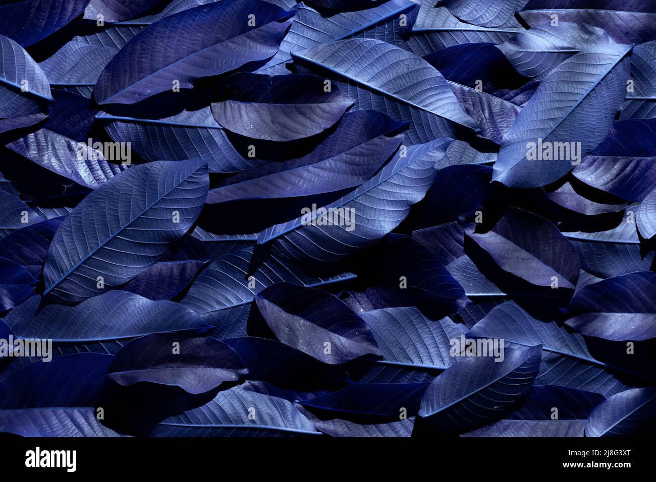 Dark blue colorful leafy background, nature detail backdrop Stock Photo ...