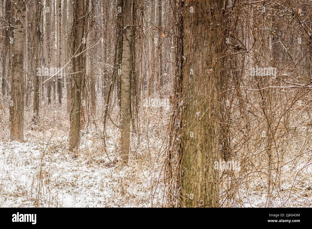 Channel without water hi-res stock photography and images - Alamy