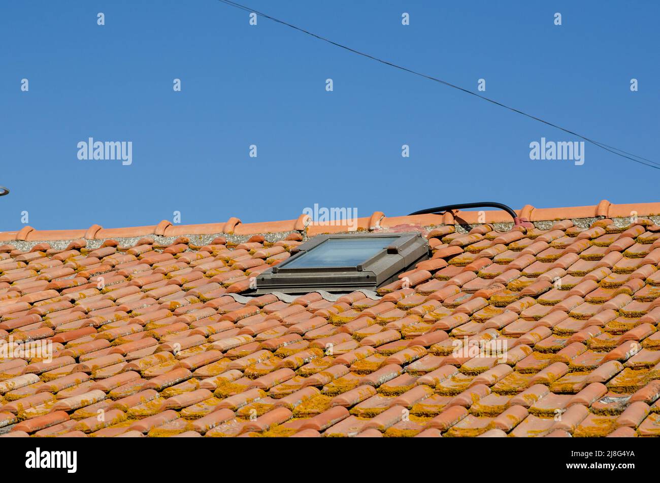 House: pitched roofs with brick tiles, exposed upper ridge and ridge ...