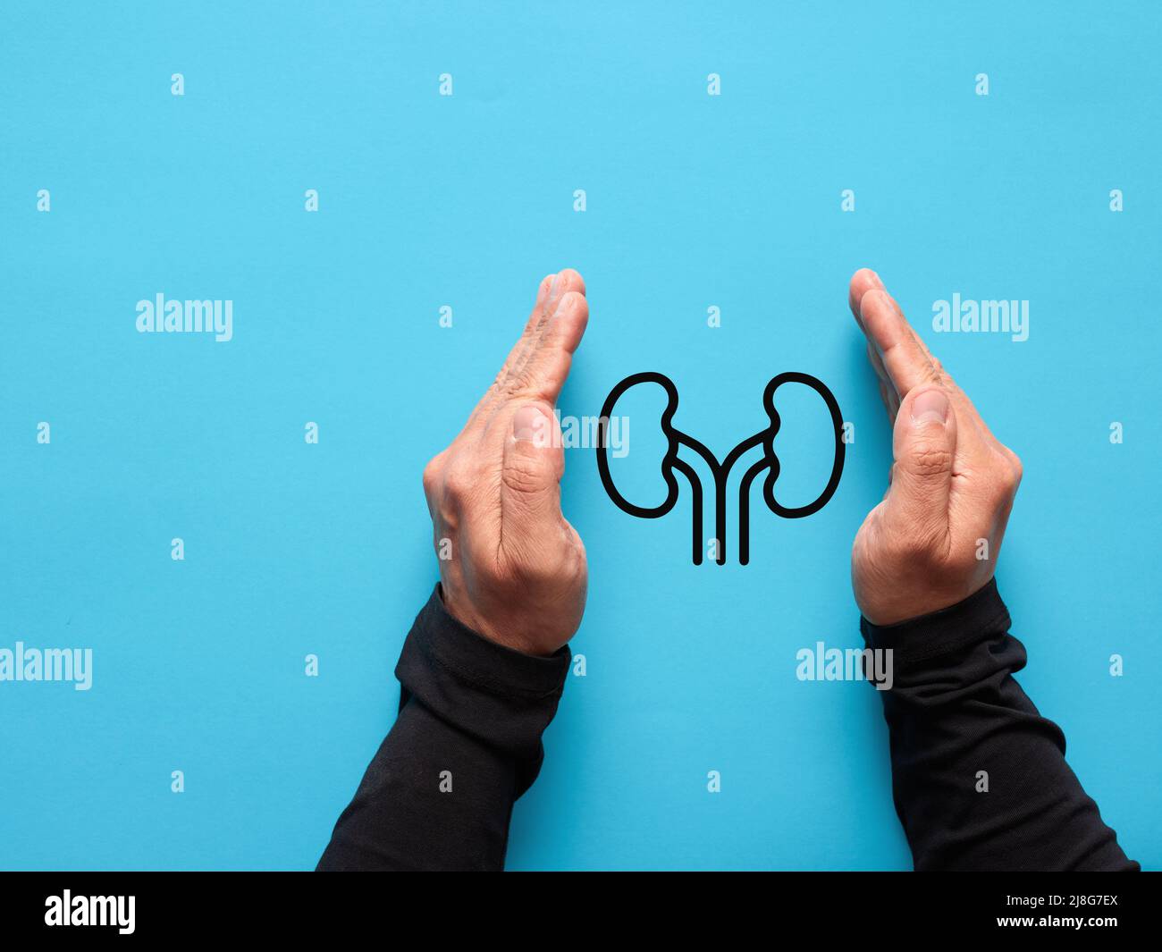 Male hands protecting the kidney symbol. Health care and insurance ...