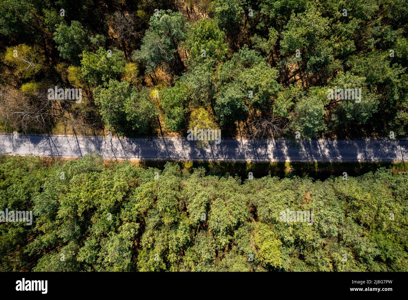 Road in Woodlands at Spring. Aerial Drone Top Down View. Landscape and ...