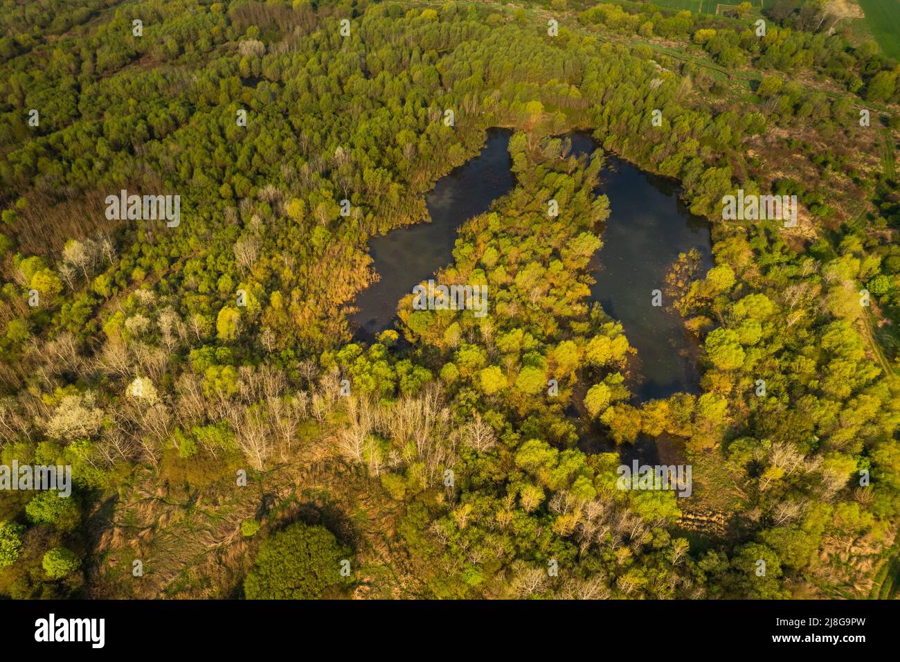 Lush Green Countryside in Poland at Spring Stock Photo - Alamy
