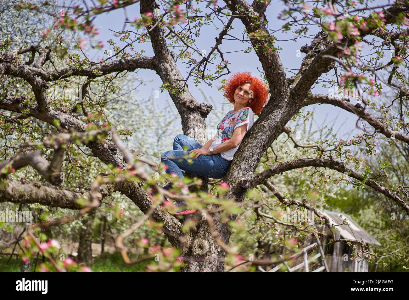 Redhead woman flowering plant hi-res stock photography and images - Alamy