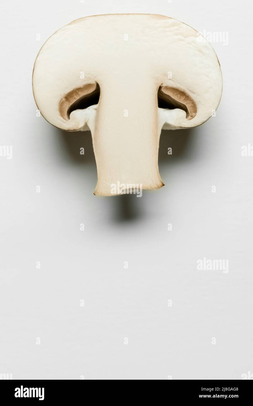 Cut mushroom hi-res stock photography and images - Alamy