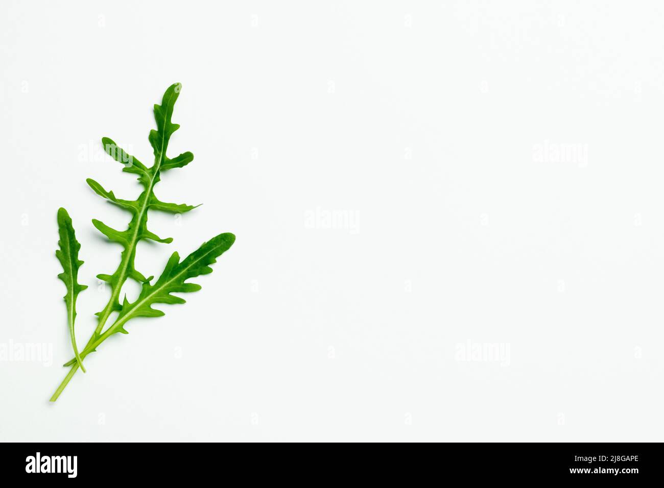Top view of fresh arugula on white background with copy space Stock ...