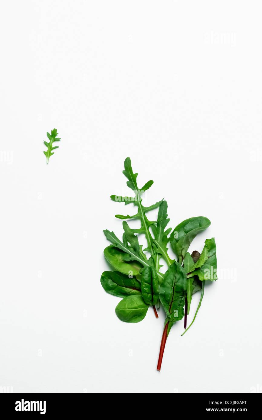 Studio shot fresh arugula hi-res stock photography and images - Alamy