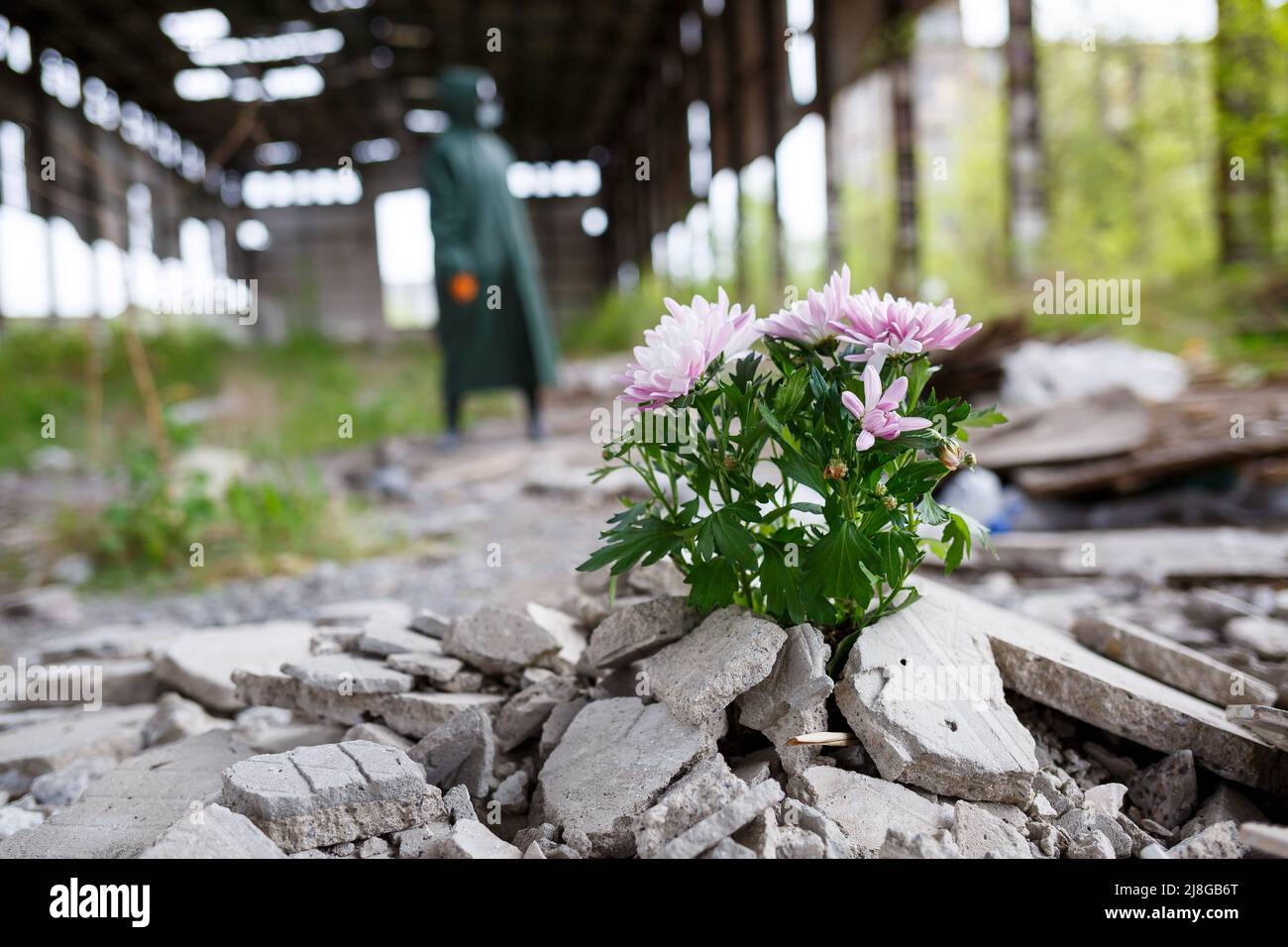 A man in a raincoat and gas mask collects a flower from a scorched ...