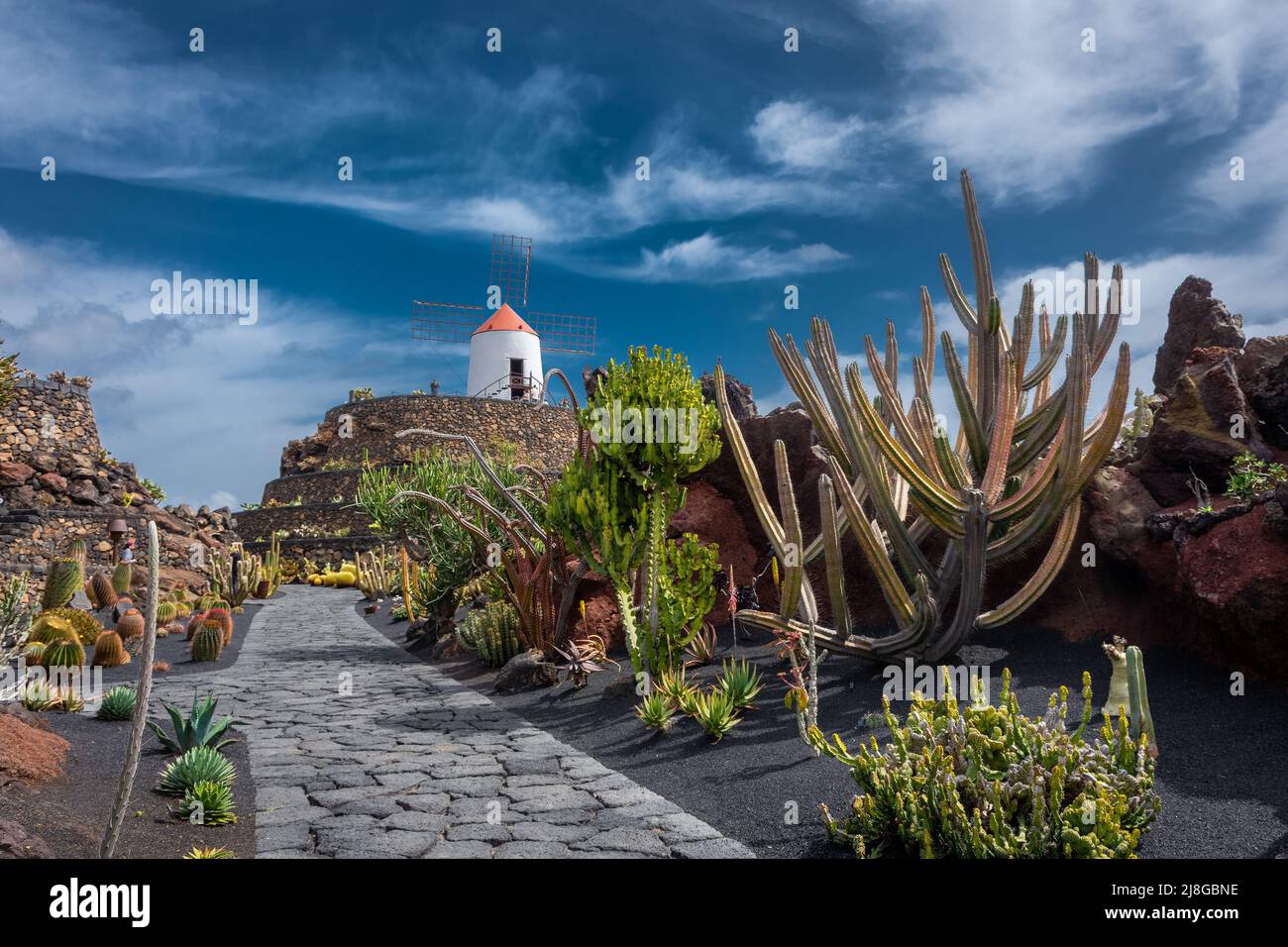 Lanzarote, Spain, 19 March 2022: The Cactus Garden, called "Jardin de ...