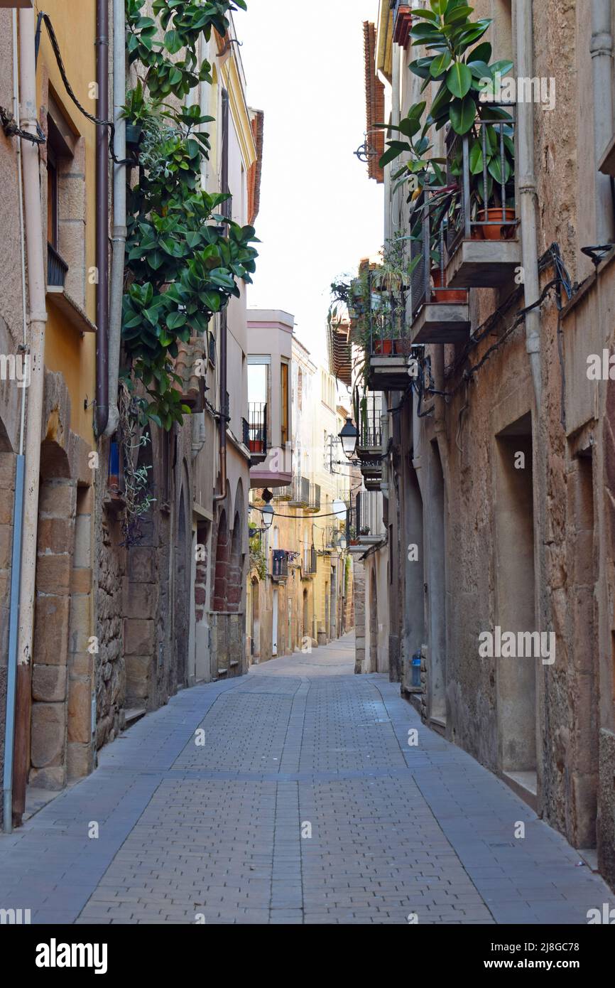 La selva del camp hi-res stock photography and images - Alamy