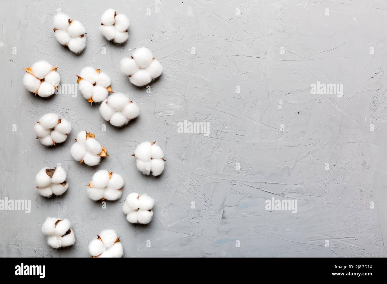 Autumn Floral Flat lay background composition. Dried white fluffy ...