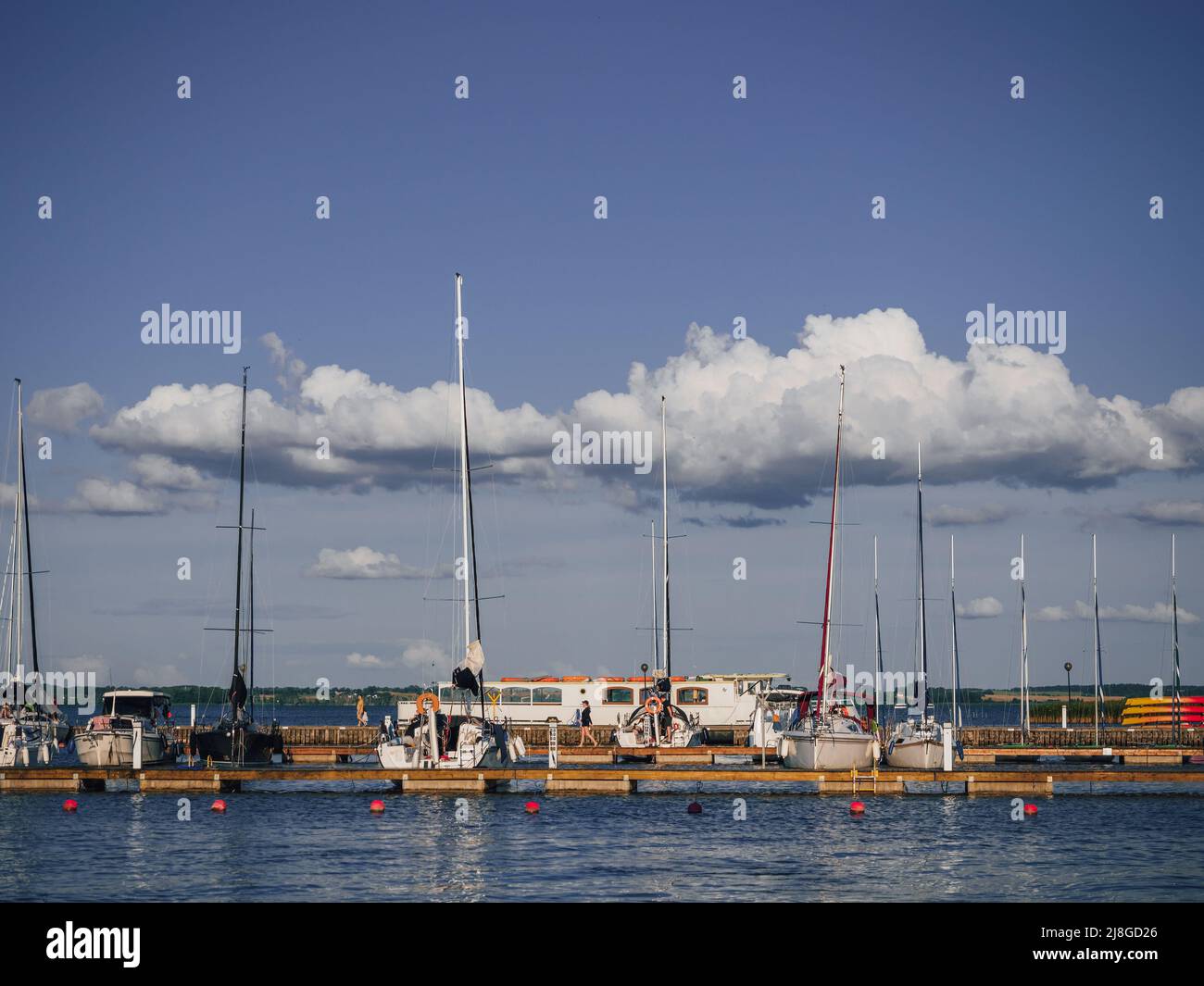 jetty full of moored sailing yachts in a row during summer vacation ...