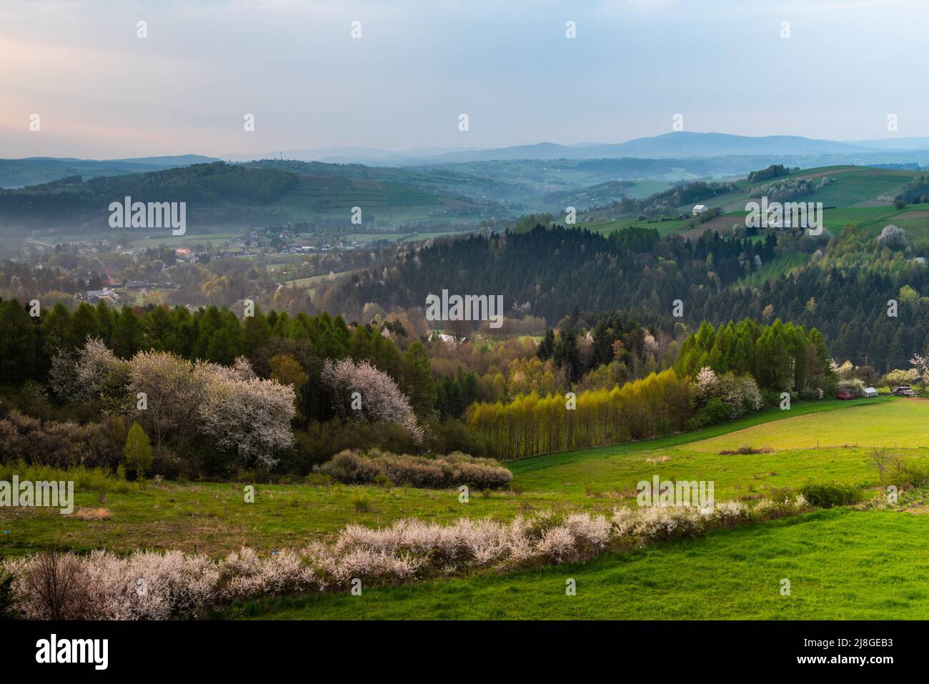 Polish Countryside at Spring. Colorful Lush Trees and Pasture Stock ...