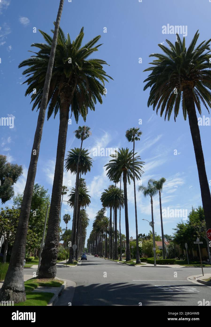 304 s palm drive hi-res stock photography and images - Alamy