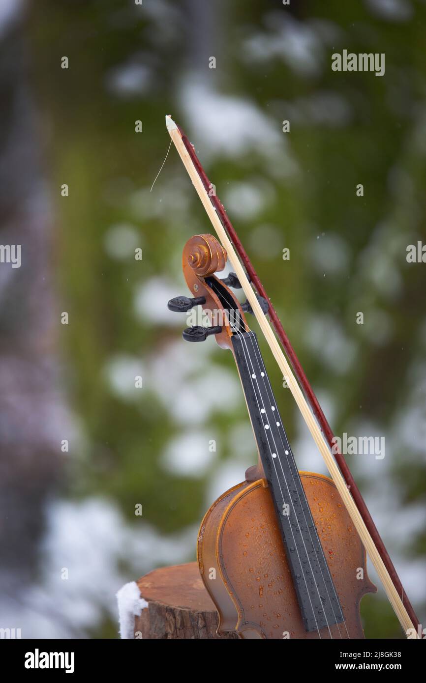 Shots of Violins in the snow Stock Photo - Alamy