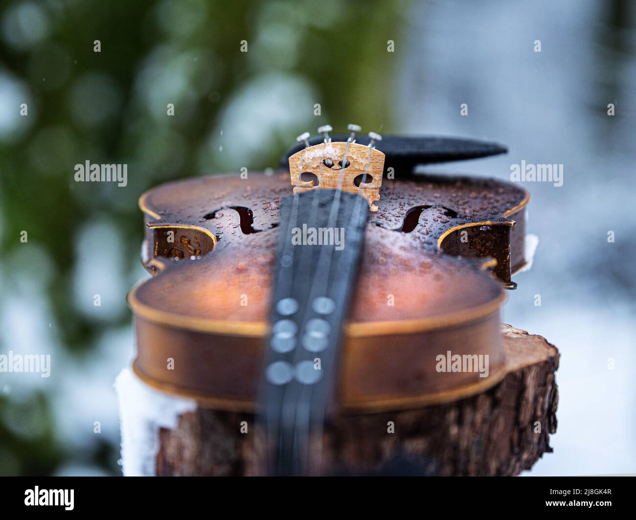Violins hi-res stock photography and images - Alamy