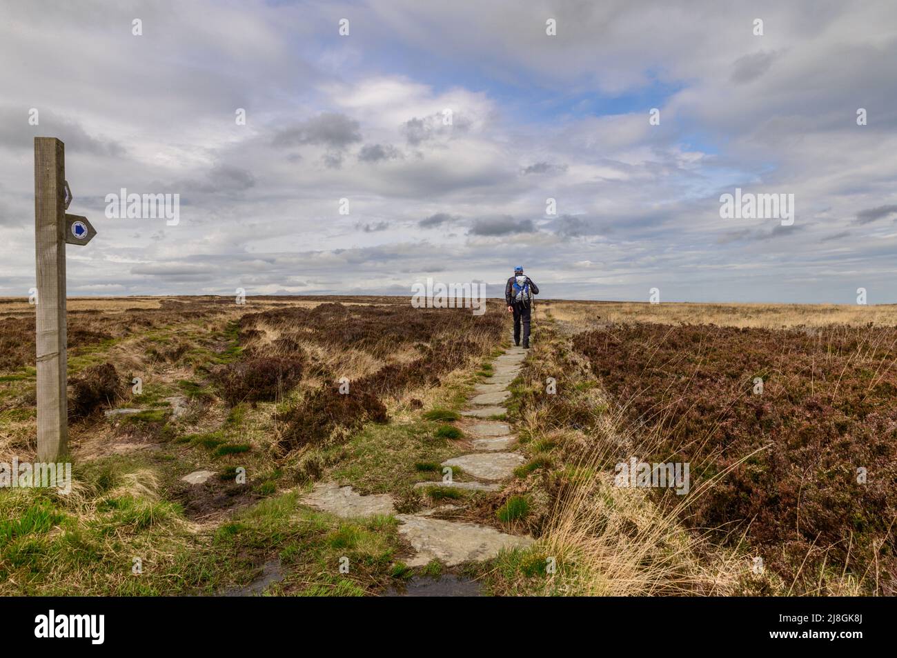 The Quakers Causeway a footpath across Stanghow Moor near Guisborough ...