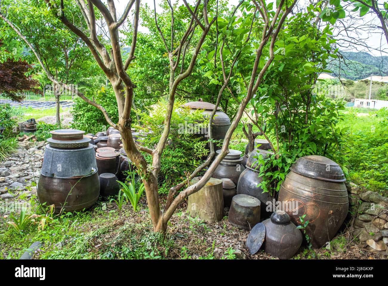 Rural cafe hi-res stock photography and images - Alamy