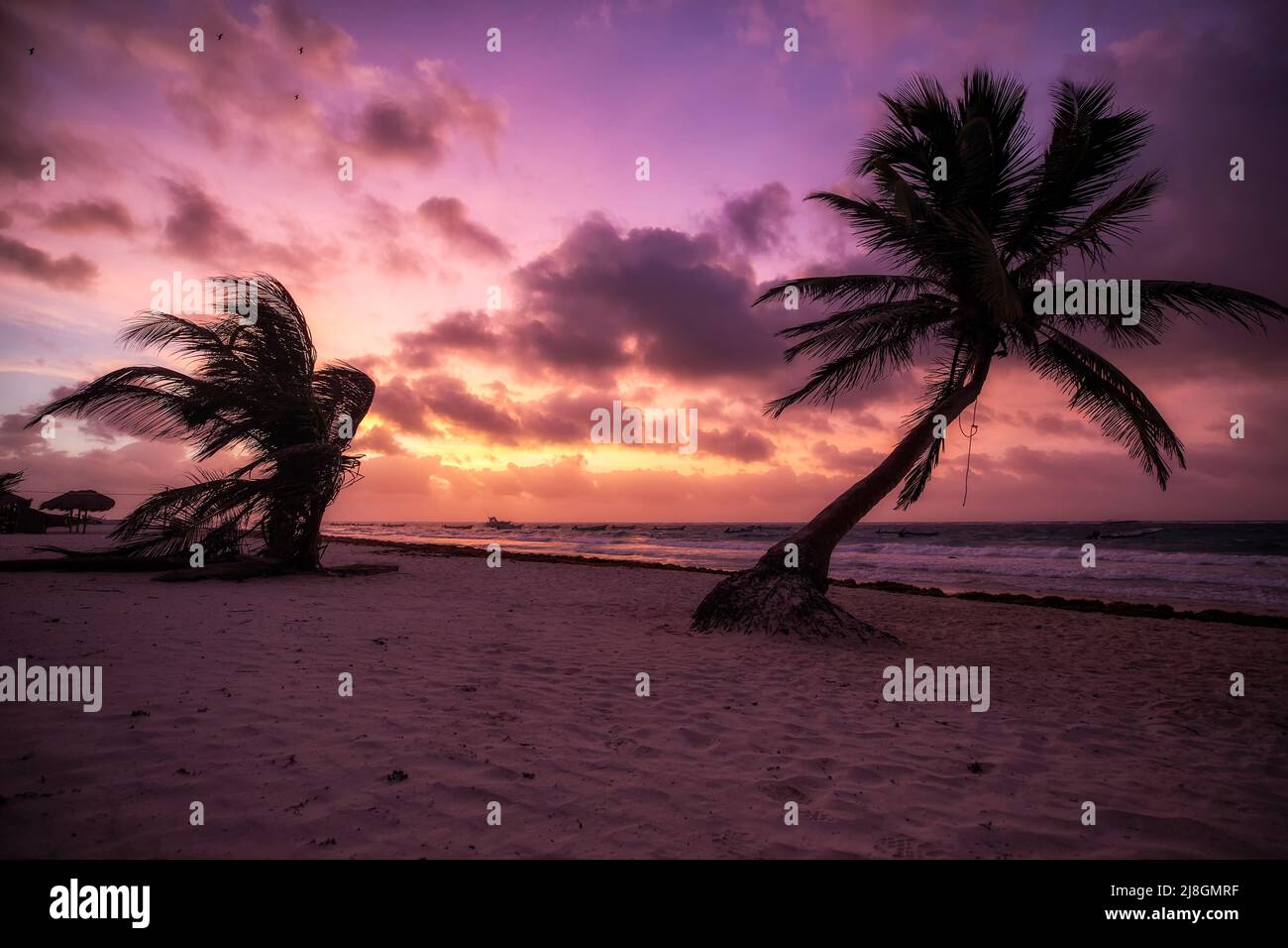 Tulum mexico night hi-res stock photography and images - Alamy