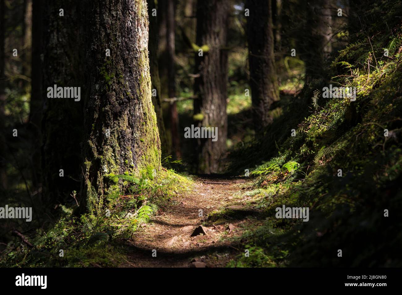 Solar system trail hi-res stock photography and images - Alamy