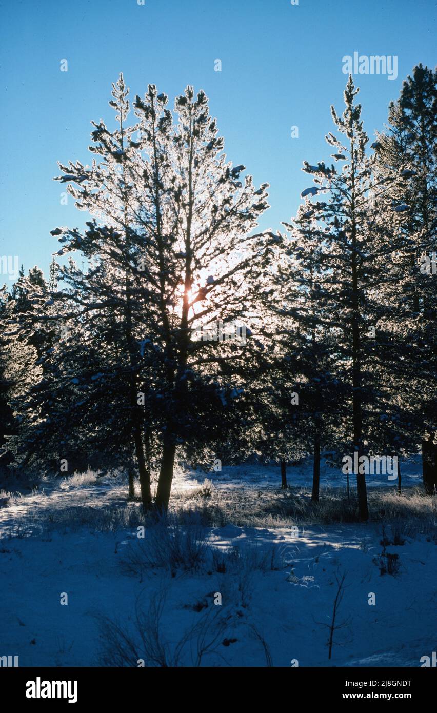 Robert manno hi-res stock photography and images - Alamy