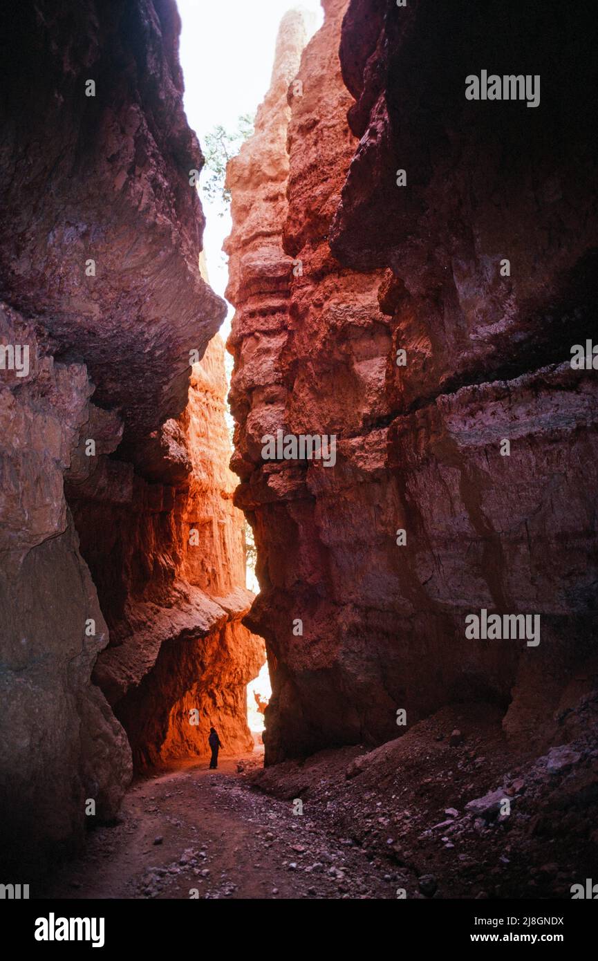 Robert manno hi-res stock photography and images - Alamy