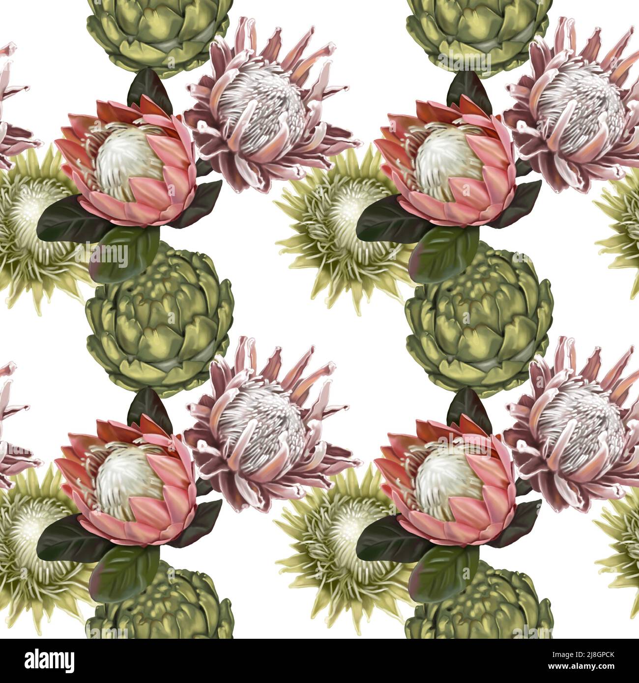 Protea seamless pattern. watercolor realist flowers of protea and ...