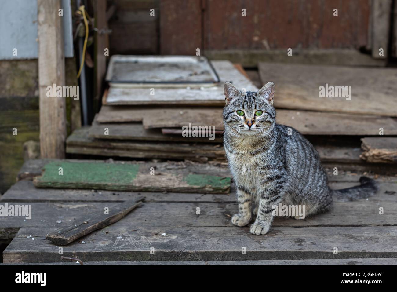 Relative poverty hi-res stock photography and images - Alamy