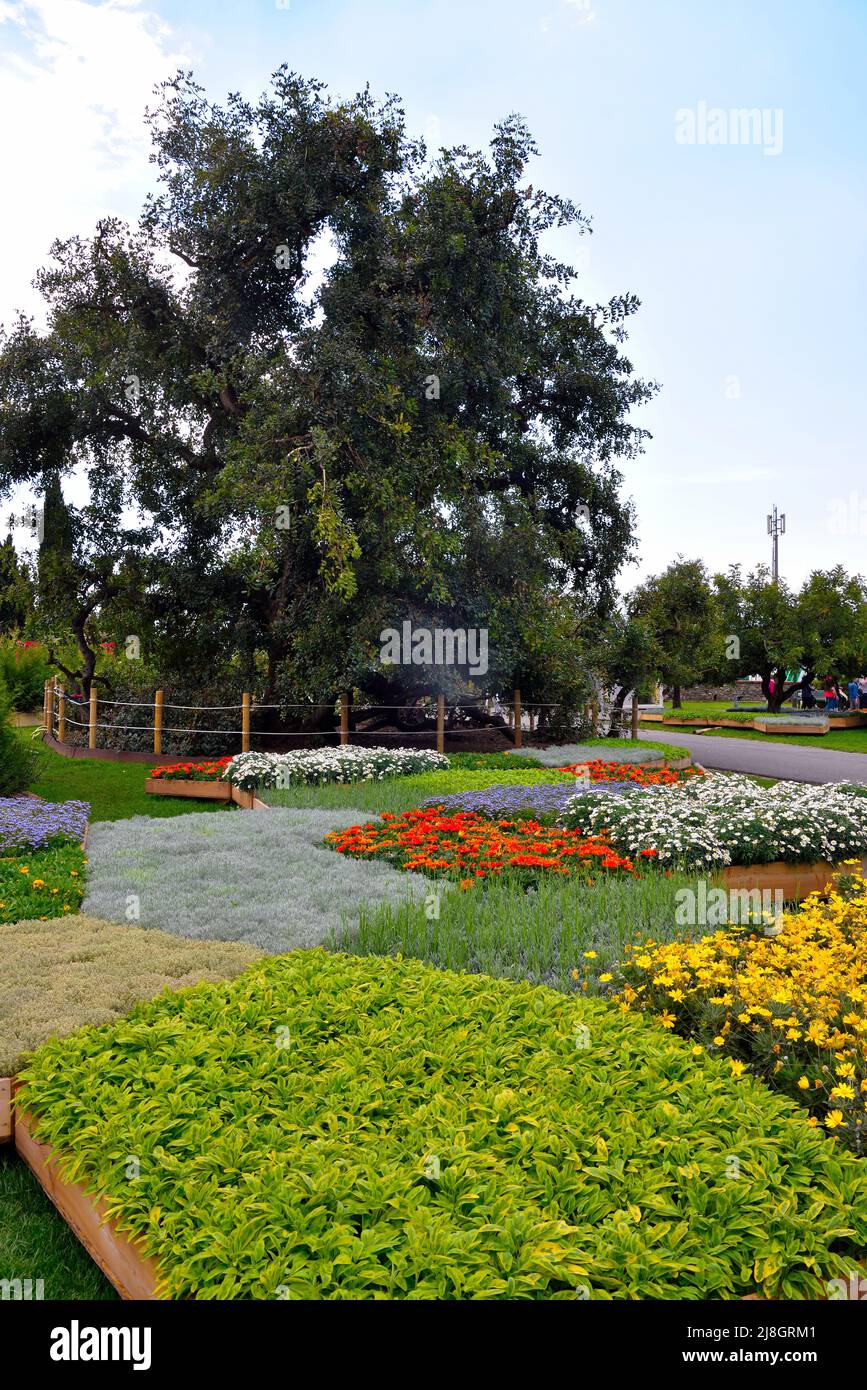 euroflora nervi parks, flower garden genoa italy Stock Photo - Alamy