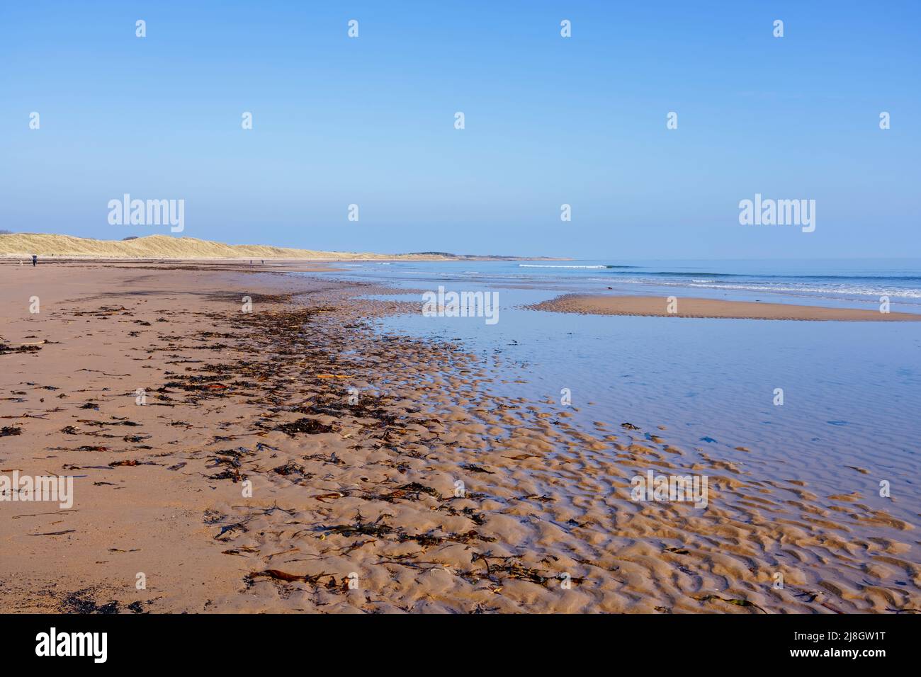 Hadston northumberland hi-res stock photography and images - Alamy