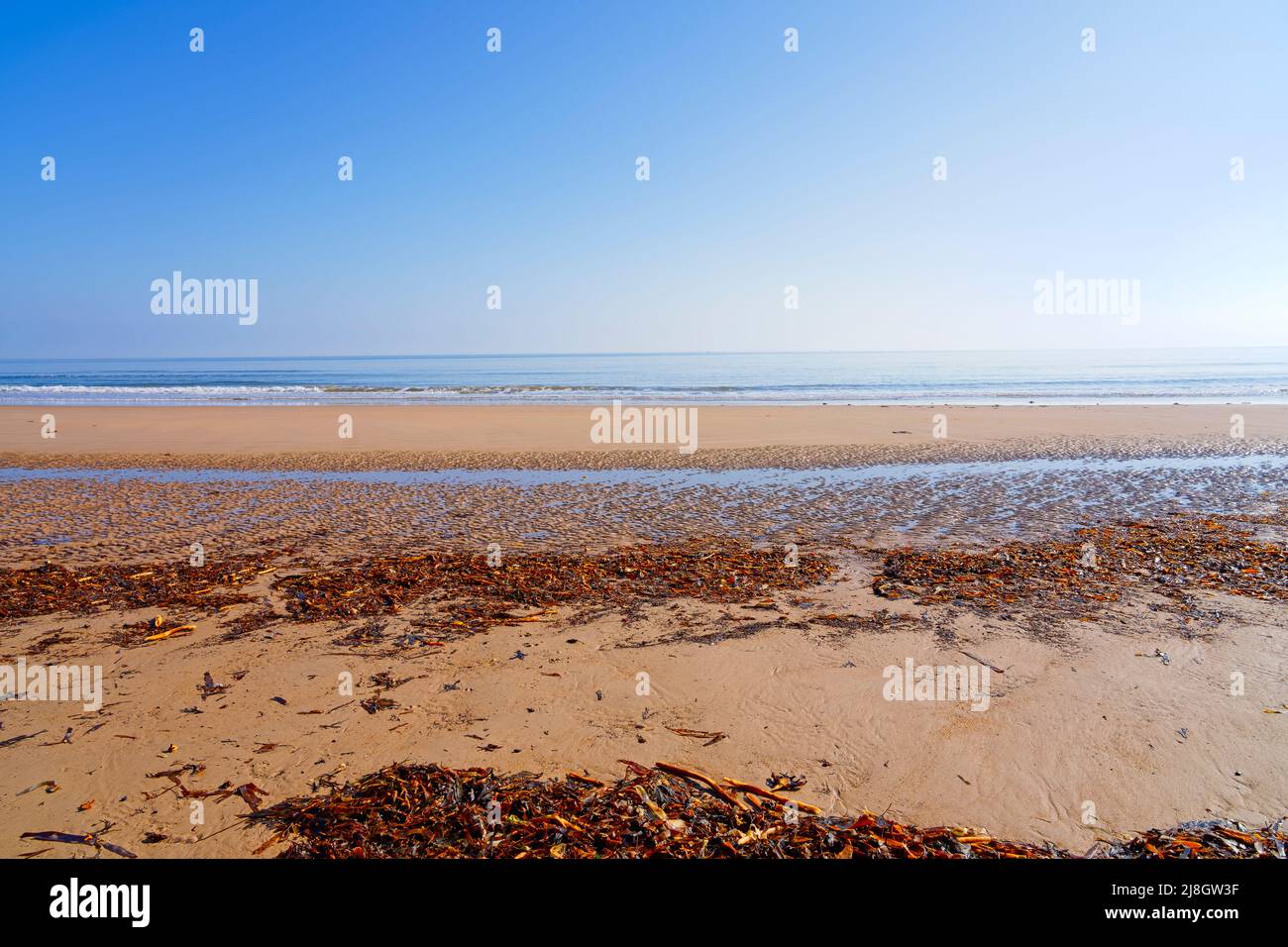 At low tide on East Chevington beach looking out to sea on a misty ...