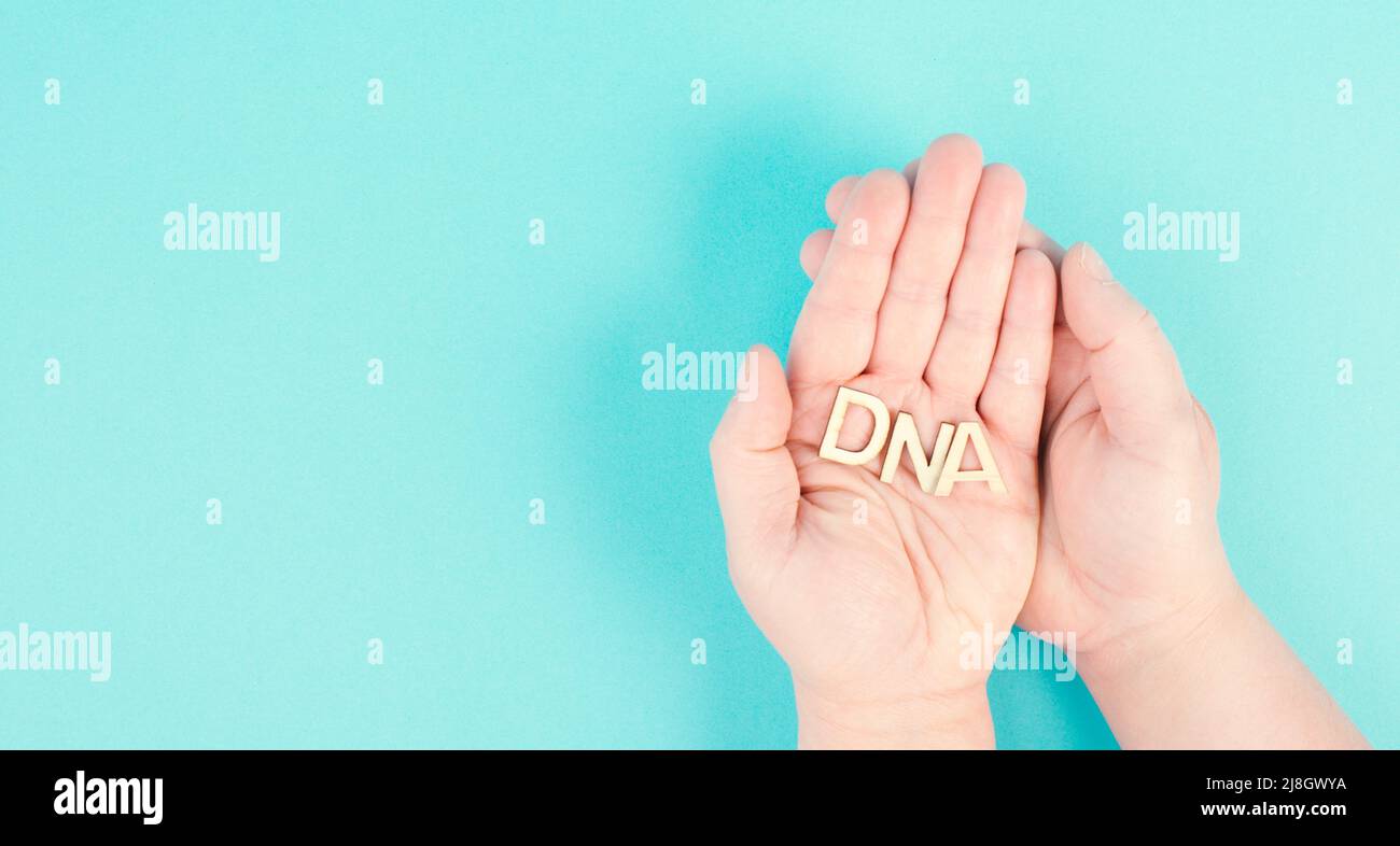 Dna structure in hand hi-res stock photography and images - Alamy