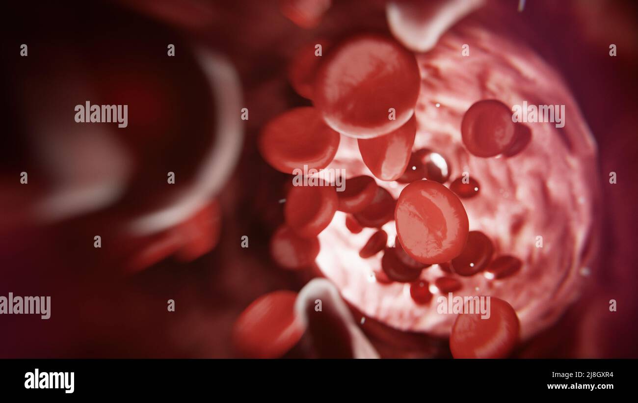 Capillary tube with blood cells hi-res stock photography and images - Alamy