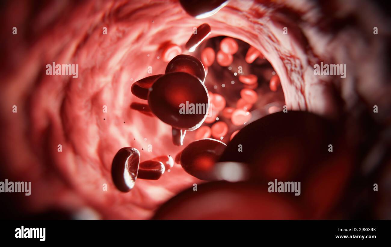 Capillary tube with blood cells hi-res stock photography and images - Alamy