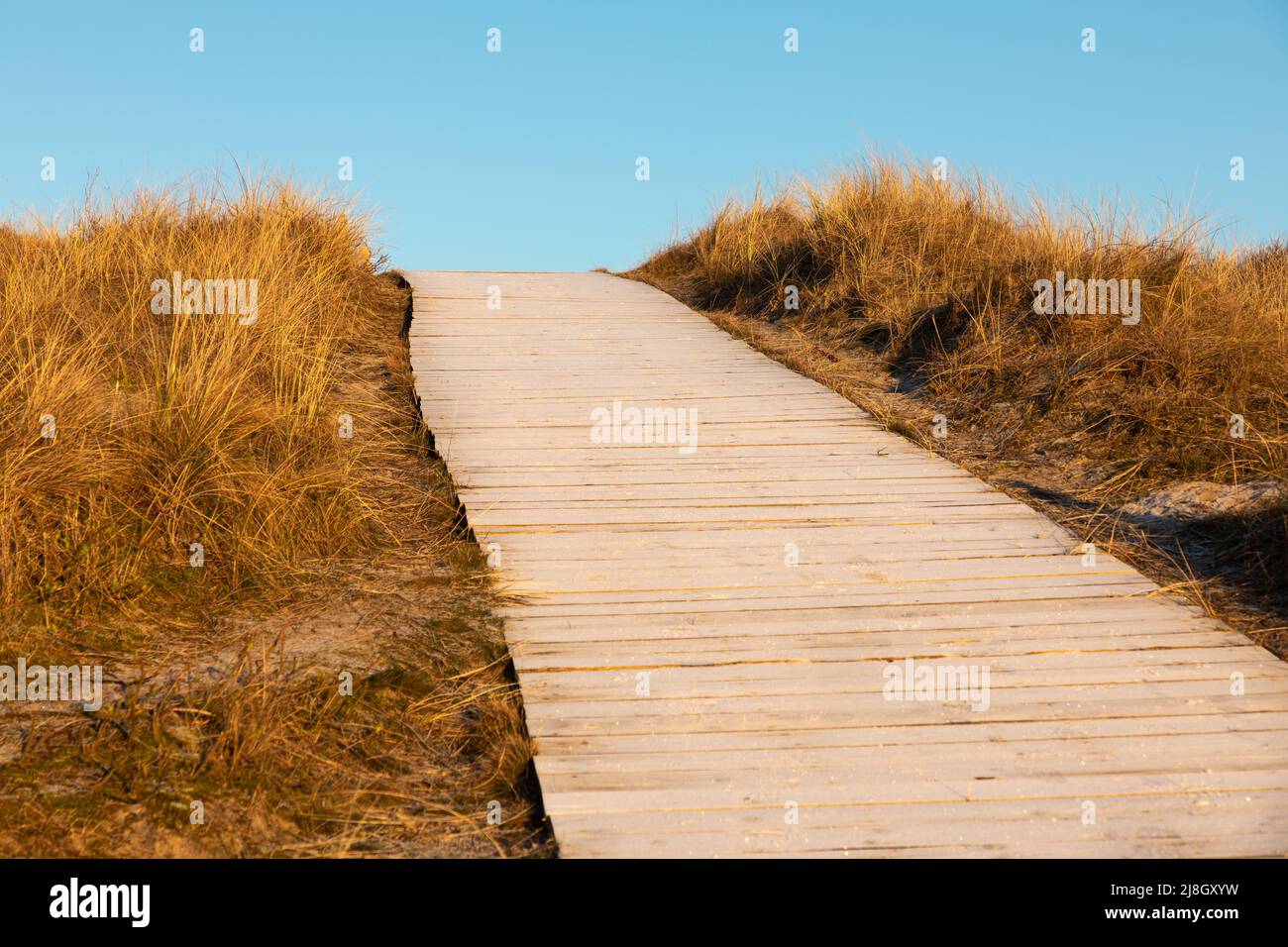 End world! path through hi-res stock photography and images - Alamy