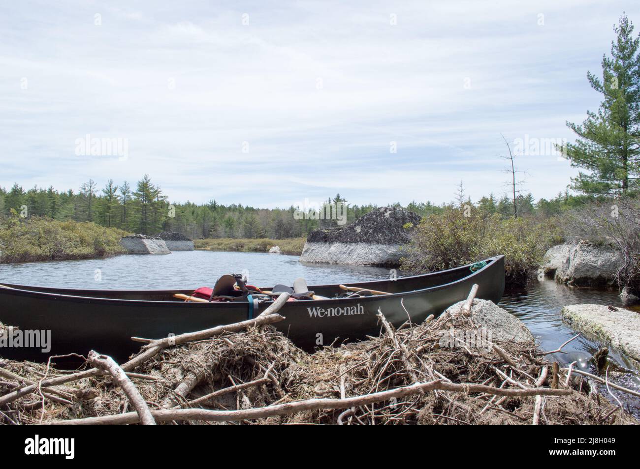 Beaver dam wilderness hi-res stock photography and images - Alamy