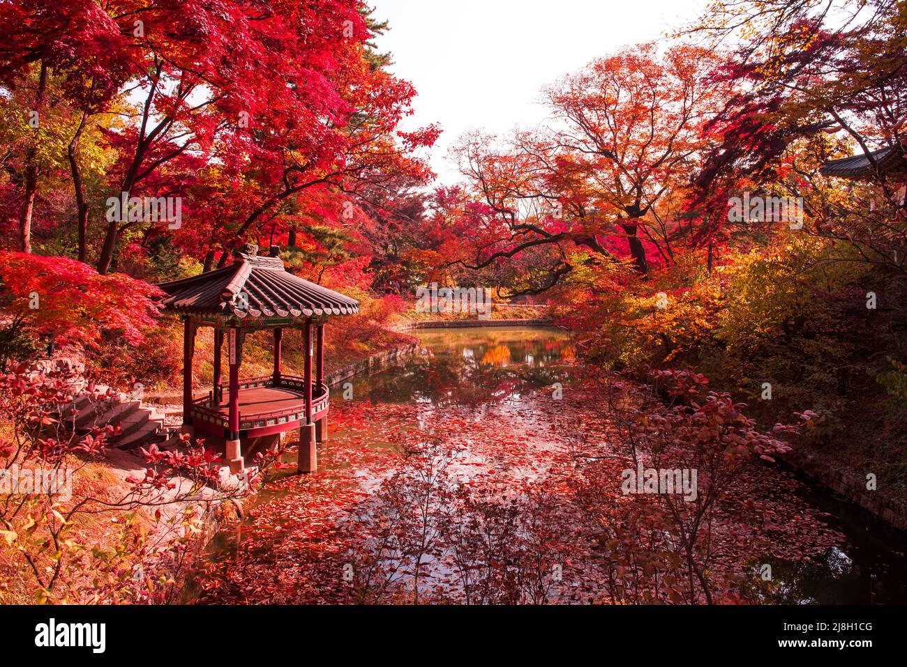 The scenery of Autumn, Huwon,Secert garden,Changdeokgung palace,Unesco ...
