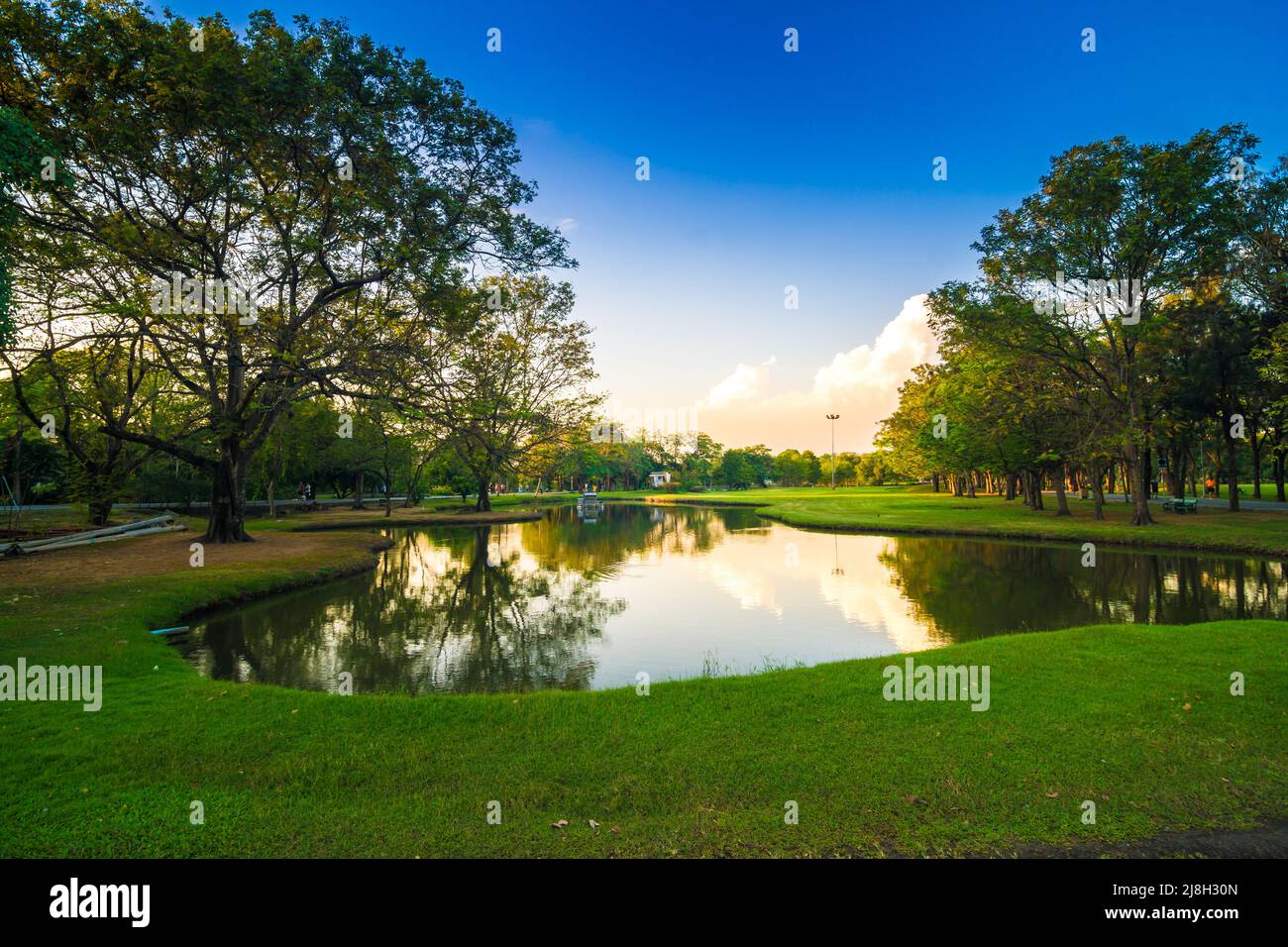 Sunset at public green park with pond natural background Stock Photo ...