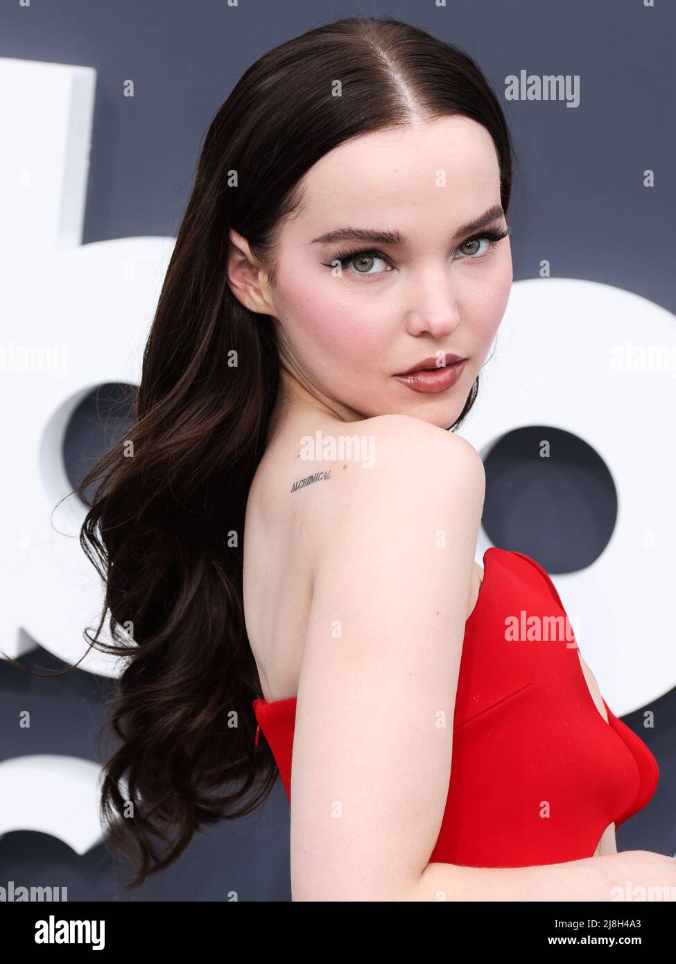 Ashlyn Gere's Instagram, Twitter & Facebook on IDCrawl