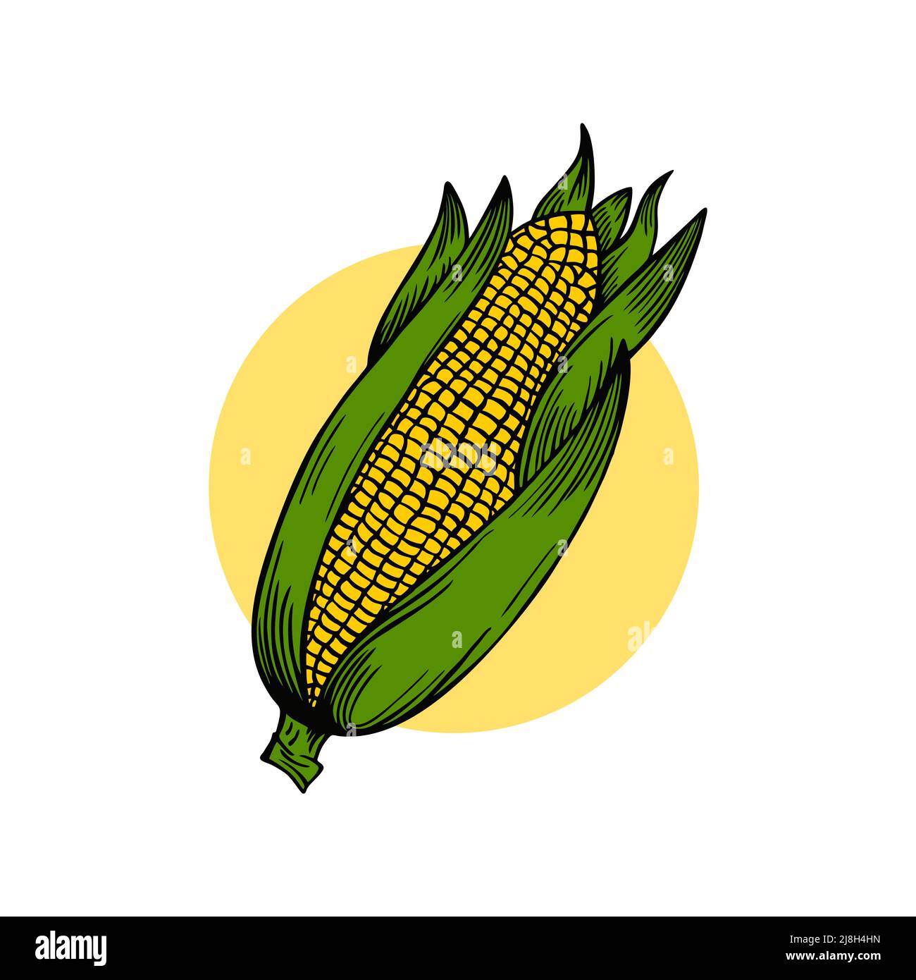 A sweet corn ear corn retro vintage style illustration Stock Vector ...