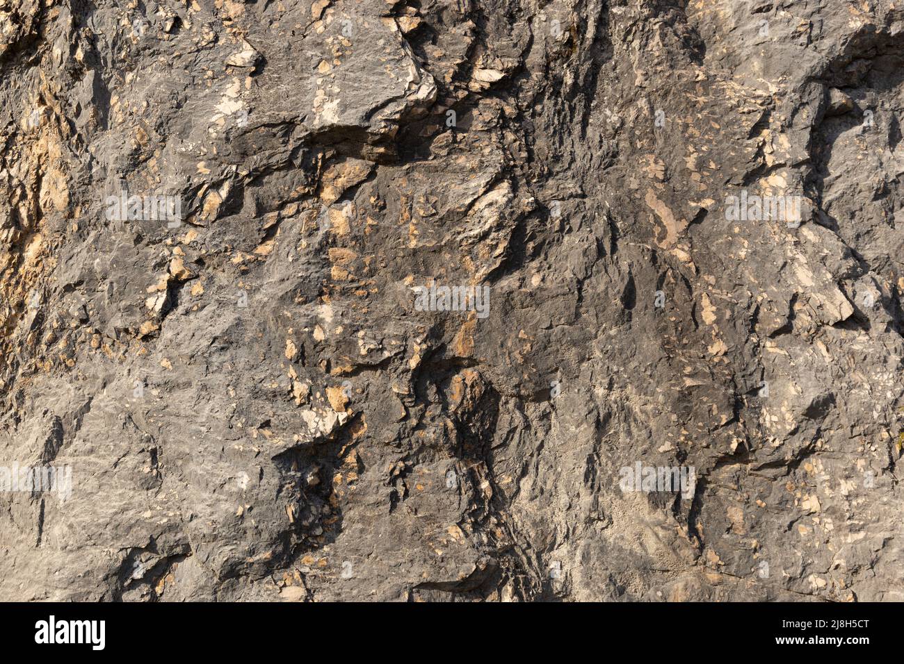 Abstract stone background. The texture of the stone rock. Close-up ...