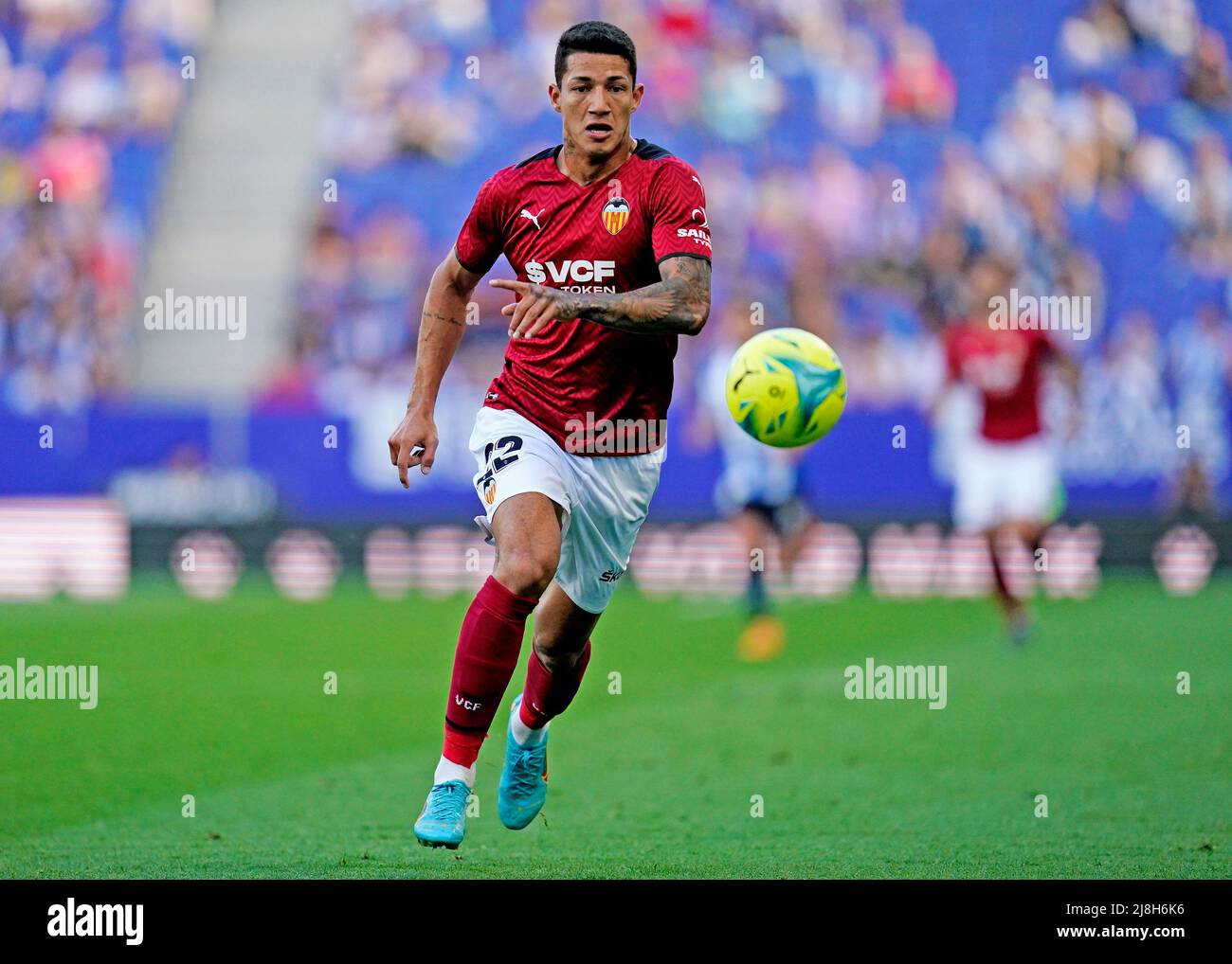 Marcos andré hi-res stock photography and images - Alamy