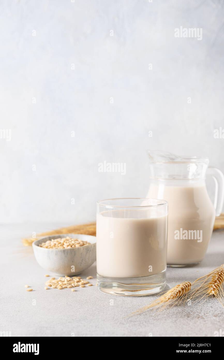 Barley milk on light gray background. Close up. Plant based milk ...