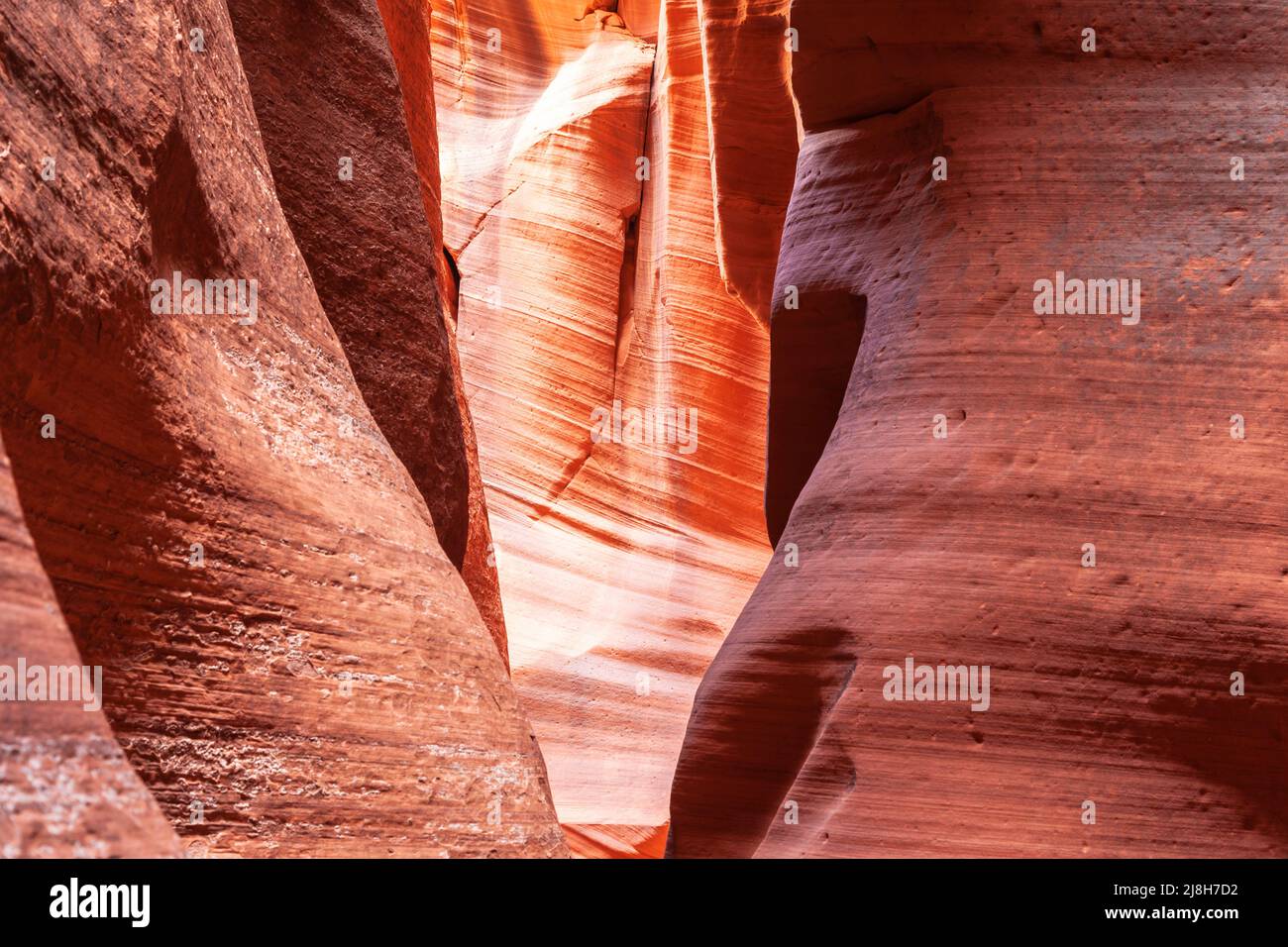Canyon x hi-res stock photography and images - Alamy