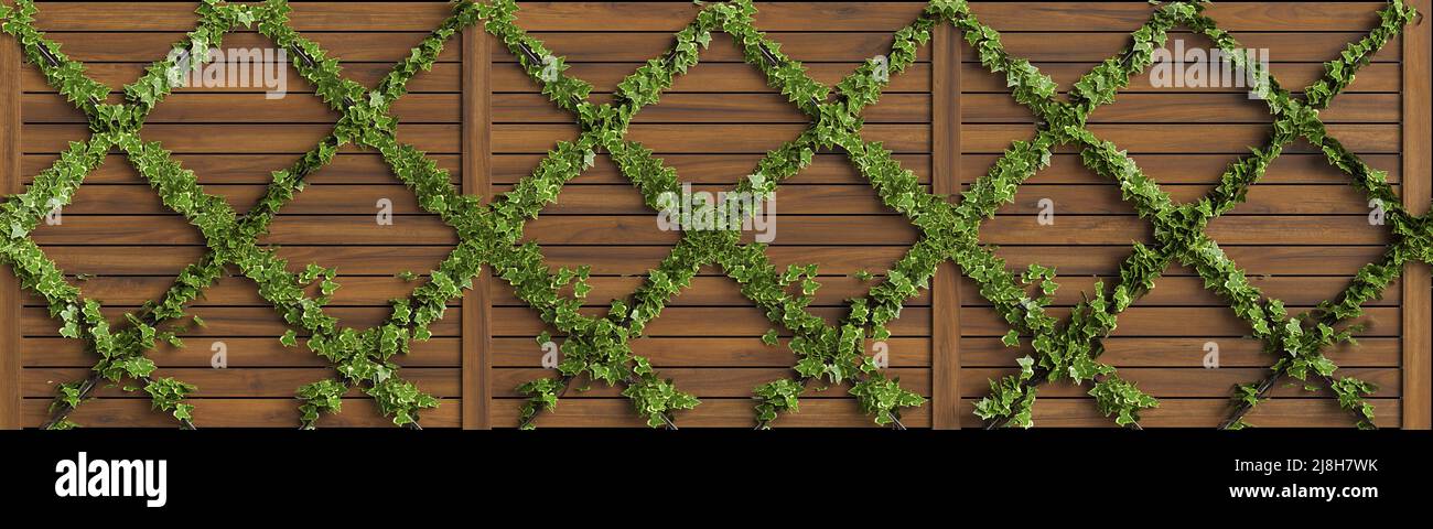 3d illustration of wooden fence with creeper isolated on white ...