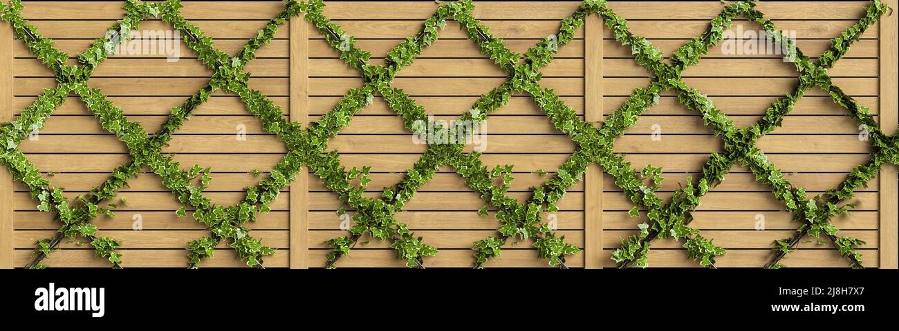 3d illustration of wooden fence with creeper isolated on white ...