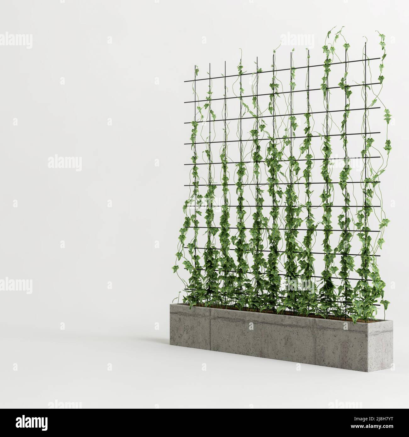 3d illustration of concrete plant tub with creeper isolated on white ...