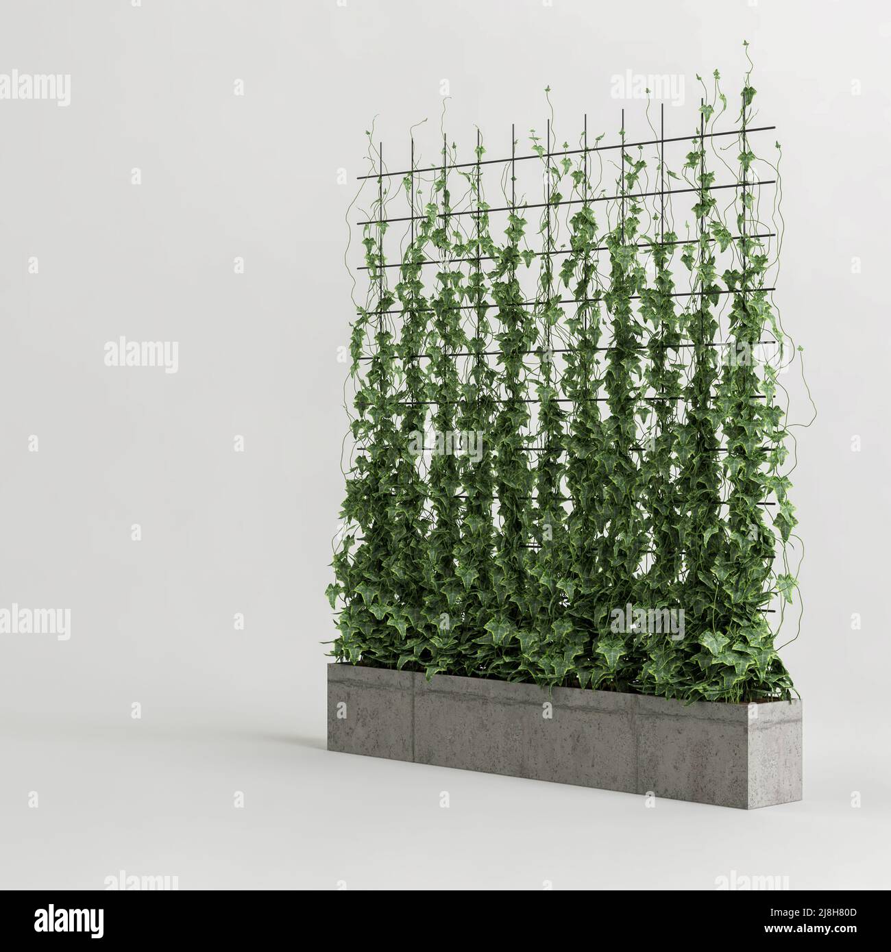 3d illustration of concrete plant tub with creeper isolated on white ...