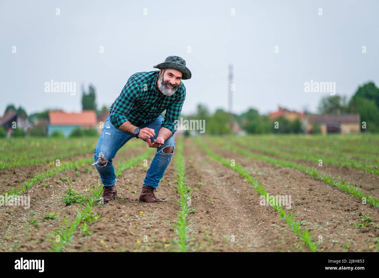 Happy farmer using mobile phone while standing in his growing corn ...